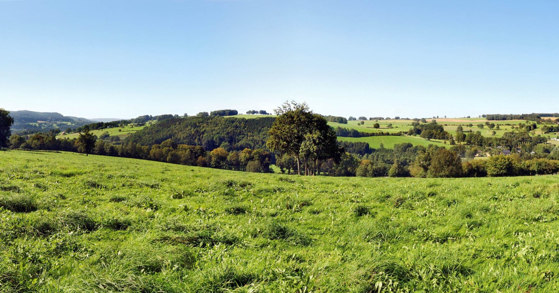 Les Jardins de Ligneuville – Pierre & Nature